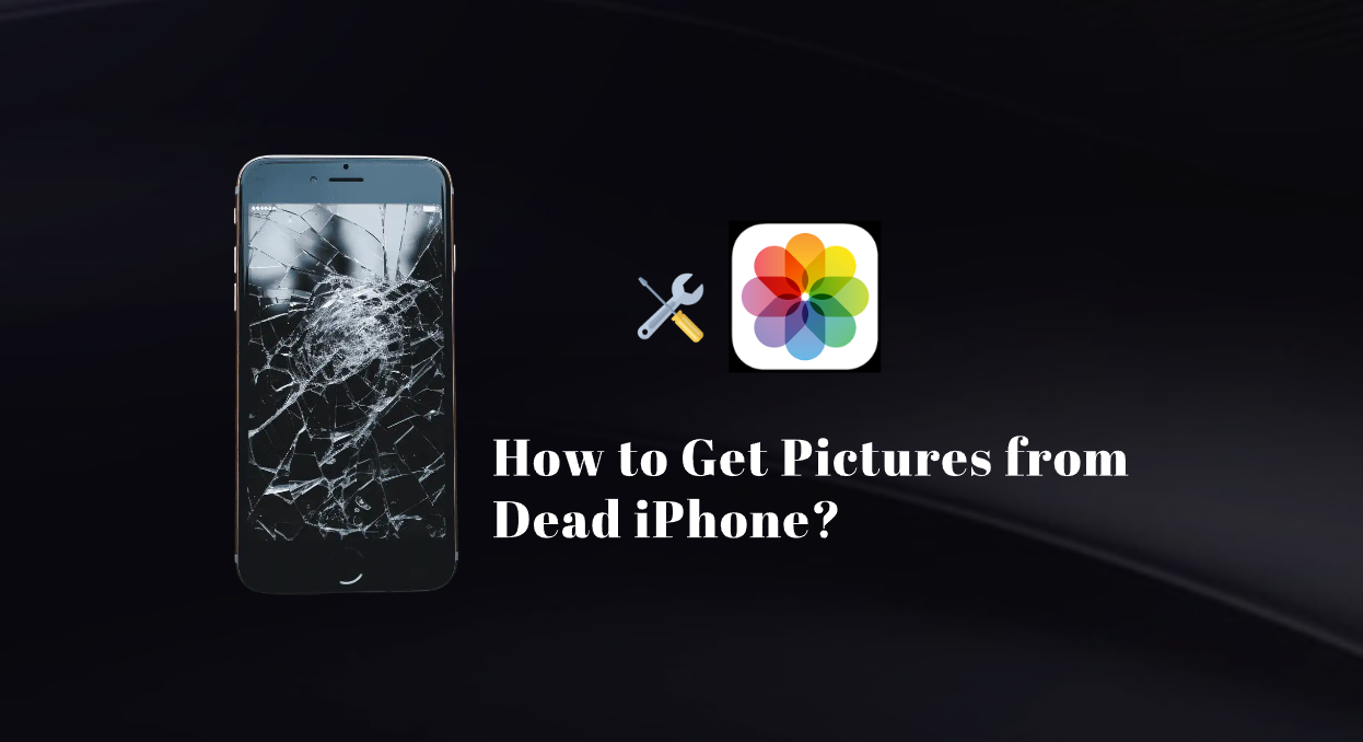 How To Get Pictures From Dead iPhone? [No Backup Required]